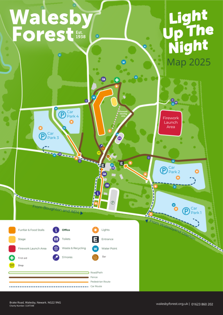 Light up the night - Walesby Forest | Walesby Forest